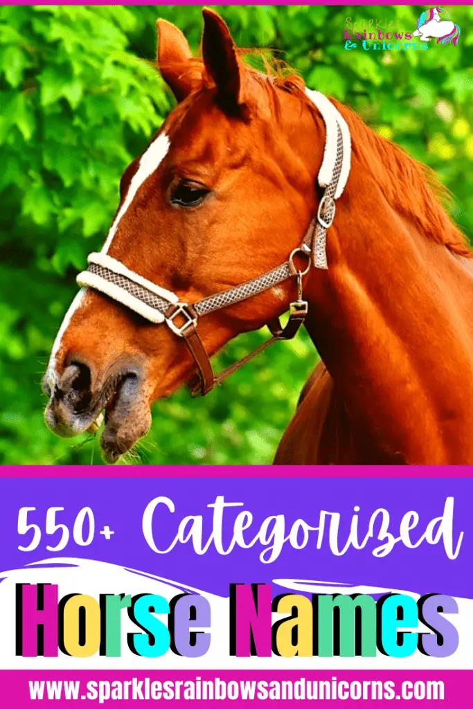 557 Best Horse Names Of 2021: By Color, Personality, Famous, Historical ...