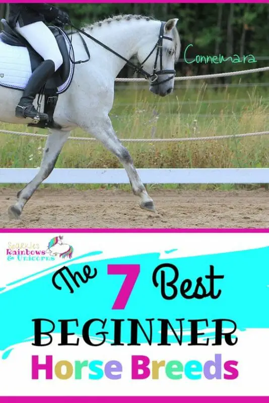 The 7 Best Horse Breeds For Beginners – Joyful Equestrian