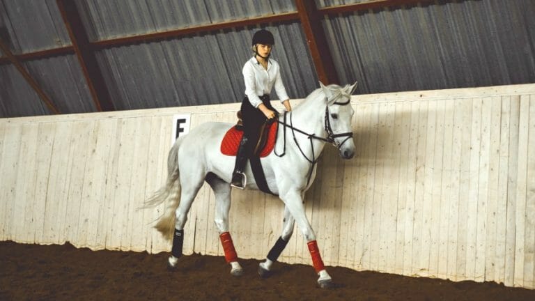 Improve Your Riding At Home | 13 Ways To Get Better At Riding Without A ...