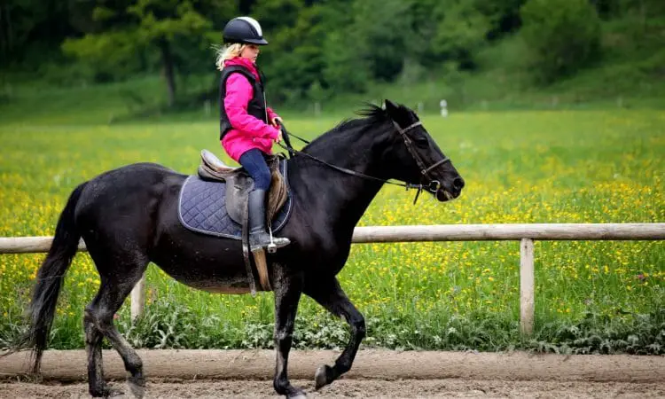 Places You Can Take Kids Horseback Riding: What You Need To Know ...