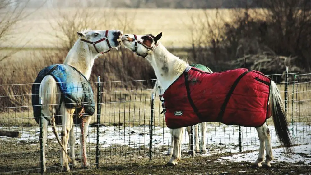 Improve Your Riding At Home | 13 Ways To Get Better At Riding Without A ...