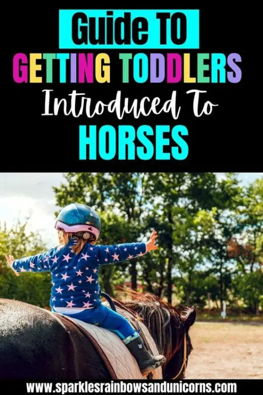 Toddler’s Horseback Riding: A Parent’s Guide For Getting Your Toddler ...