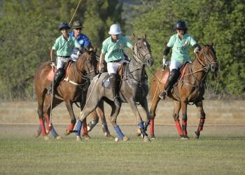 The Different Disciplines Of English Riding