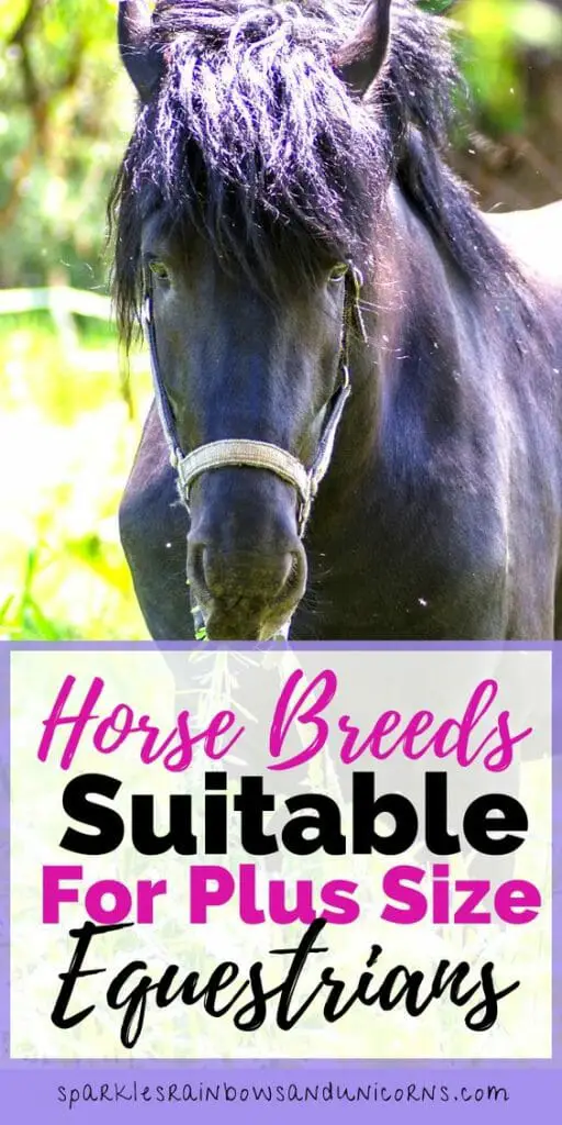 19 Capable Horse Breeds For Plus-Size Riders – Joyful Equestrian