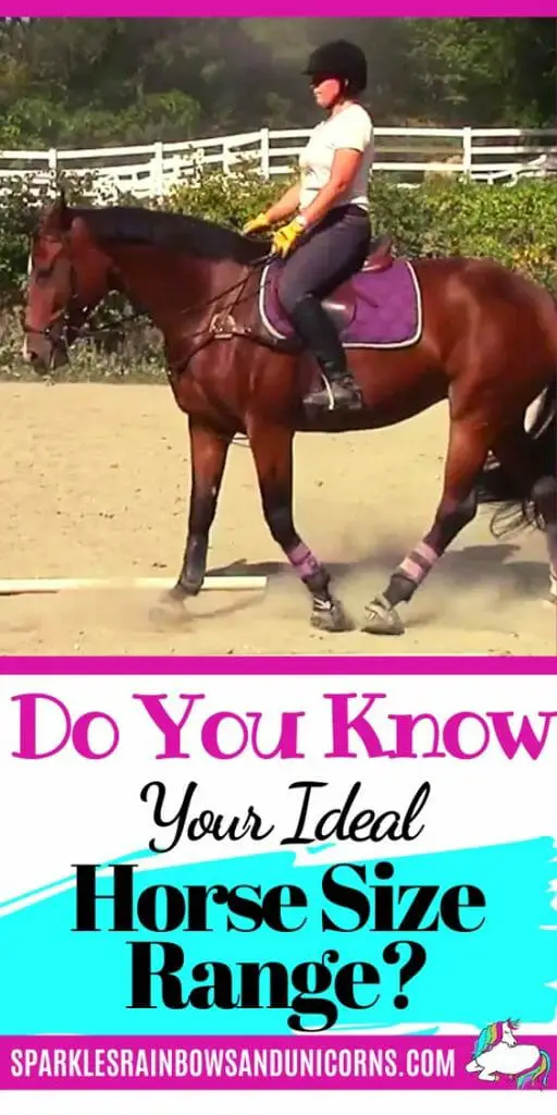 What Is The Right Horse Size For You? Guide To Find Your Ideal Horse ...