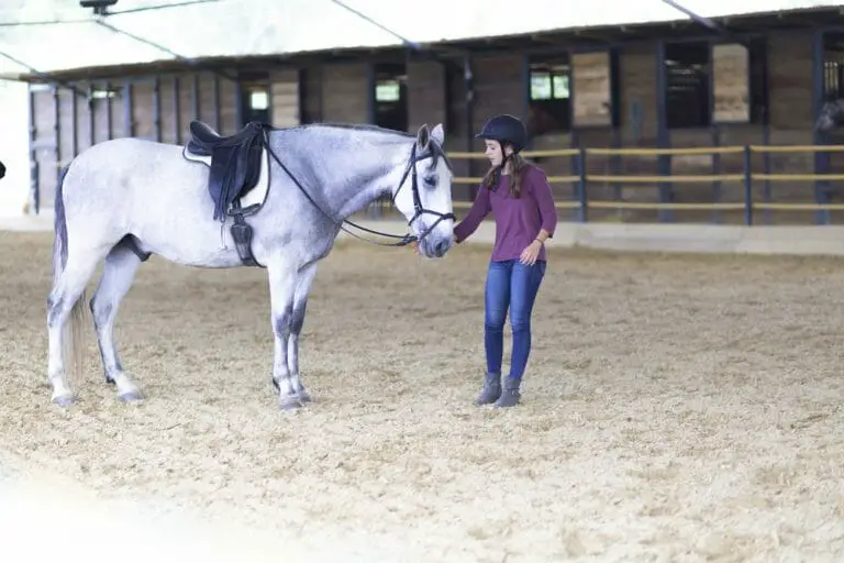 What To Expect At Your First Riding Lesson: Free Printable Checklist ...