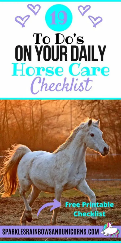 Daily Horse Care List For A Happy Healthy Horse: Free Printable ...