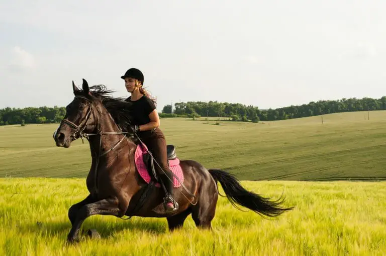 How To Ride A Horse For Beginners: Ultimate Guide