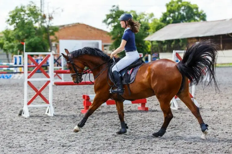 How To Ride A Horse For Beginners: Ultimate Guide