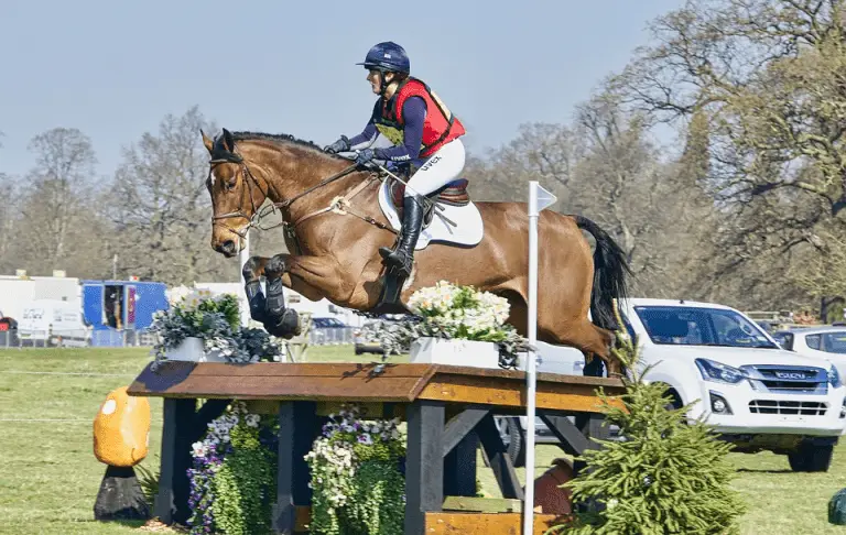 The Different Disciplines Of English Riding