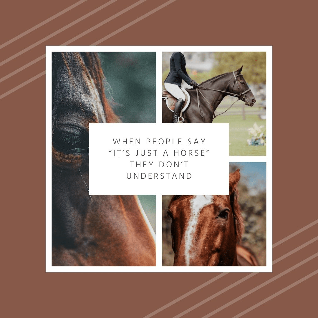 100 Inspirational Quotes with Horse Pictures To Lift You Up