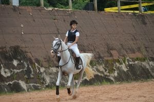 How To Stop Bouncing At The Canter: A Guide For Sitting The Canter