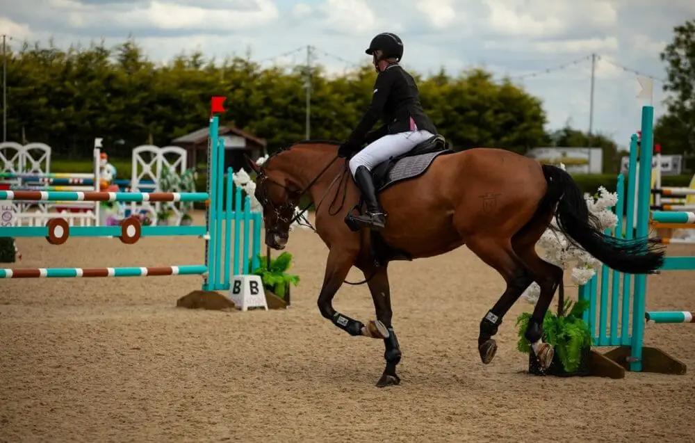 How To Stop Bouncing At The Canter: A Guide For Sitting The Canter