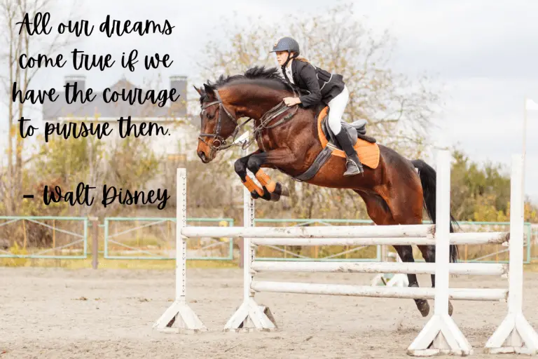 100 Inspirational Quotes with Horse Pictures To Lift You Up