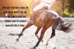 100 Inspirational Quotes with Horse Pictures To Lift You Up