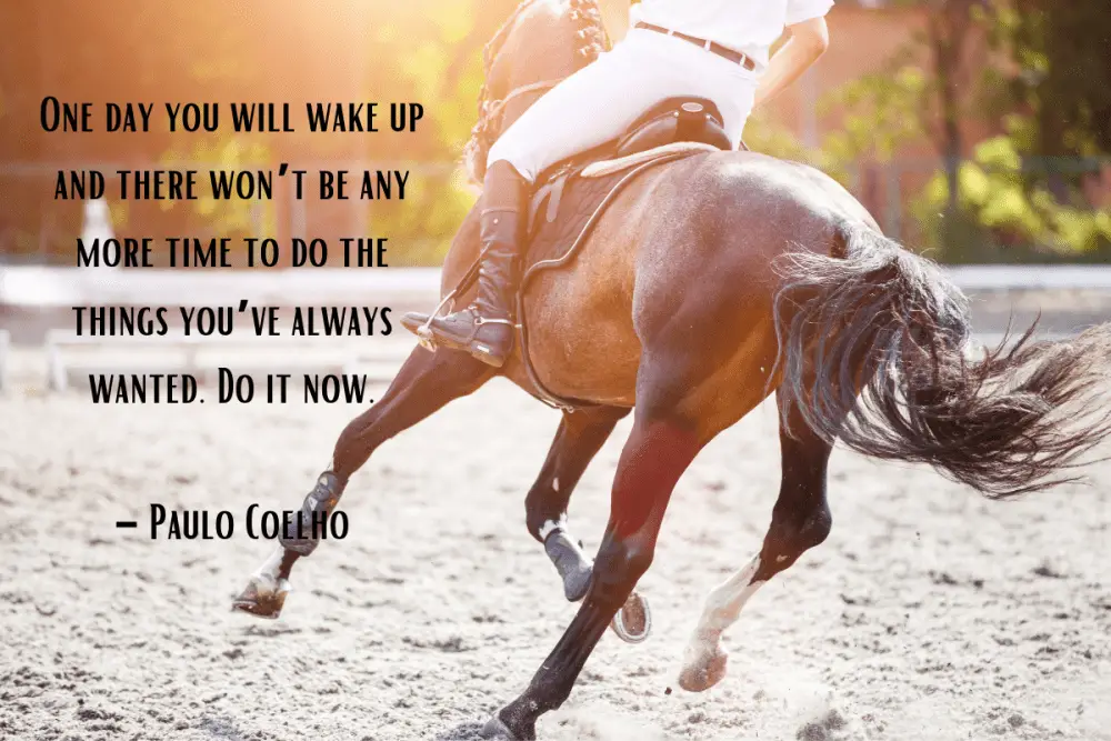 100 Inspirational Quotes with Horse Pictures To Lift You Up
