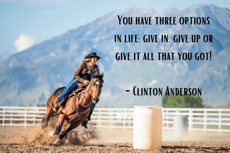 100 Inspirational Quotes with Horse Pictures To Lift You Up