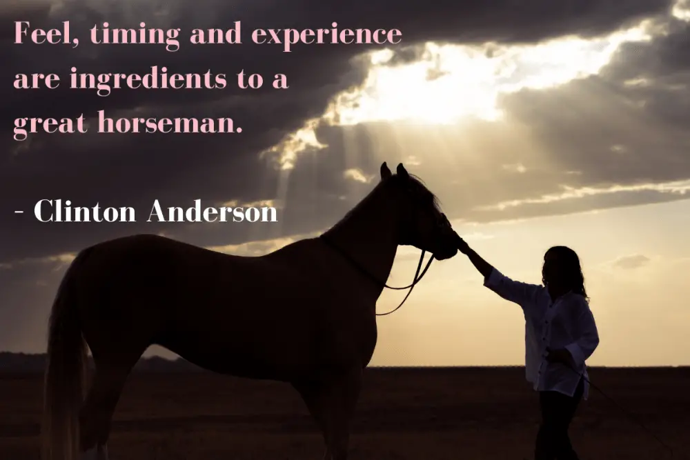 100 Inspirational Quotes with Horse Pictures To Lift You Up