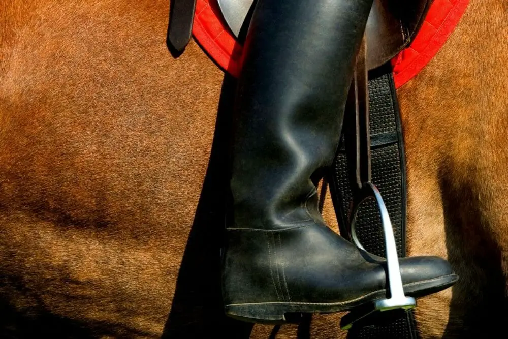 Tall & Short English Equestrian Boots: The Ultimate Buyer’s Guide