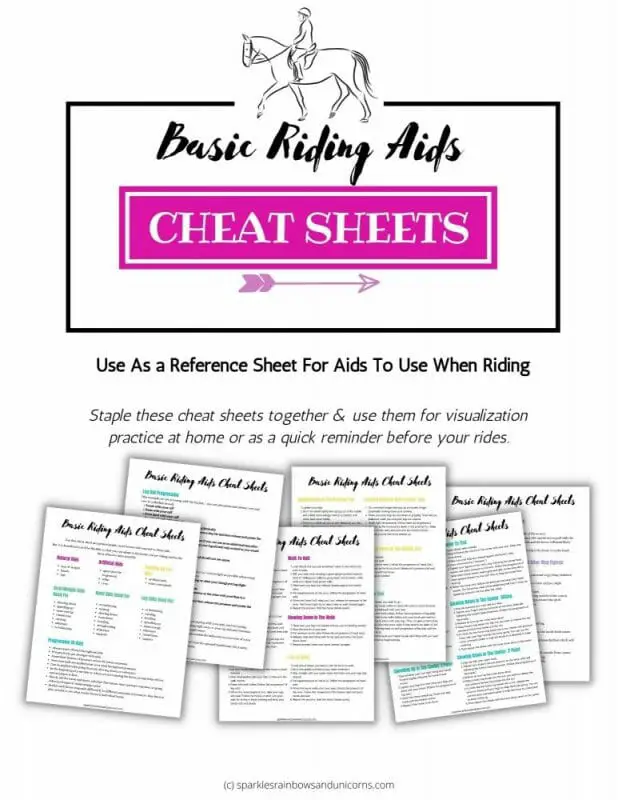 Basic Horse Riding Aids Cheat Sheet