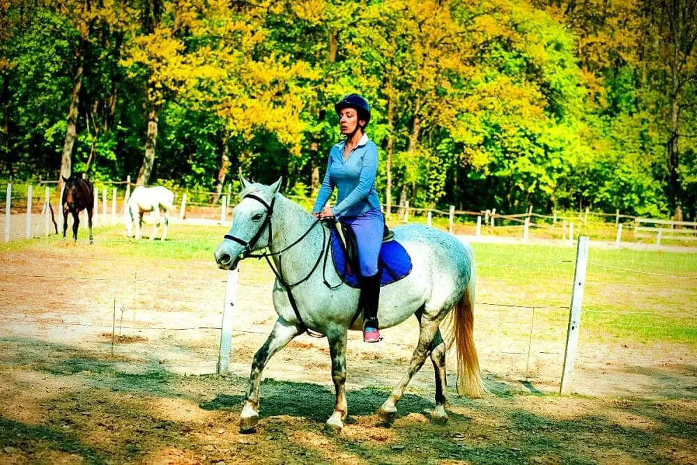 How To Tell You're On The Correct Posting Diagonal At The Trot