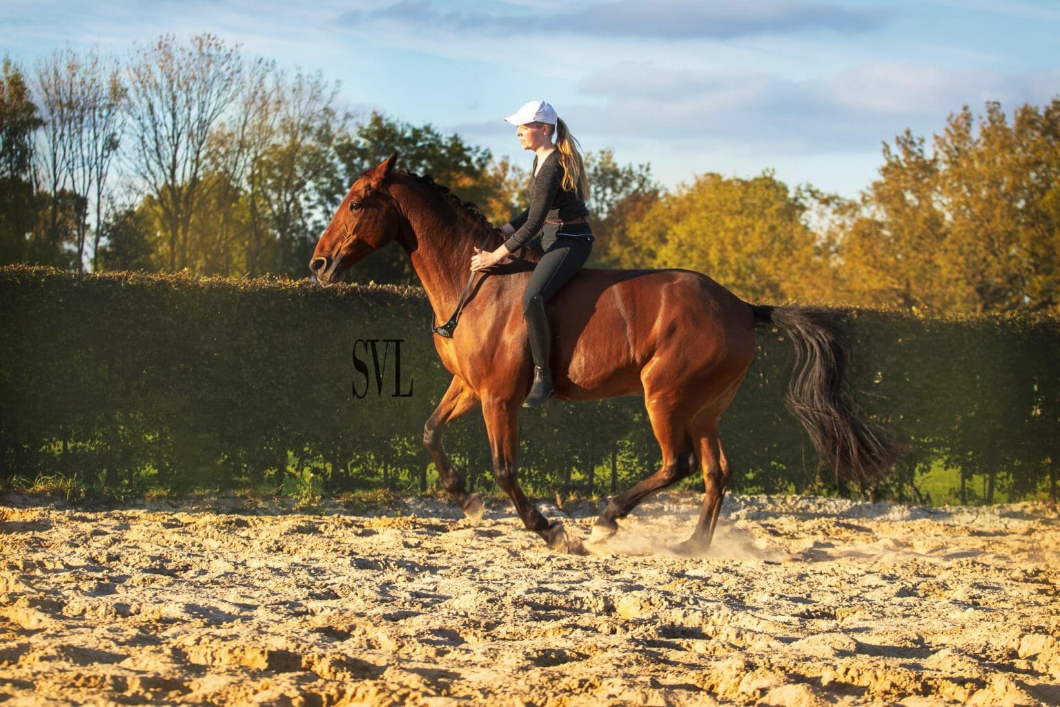 7 Ways To Benefit From Fun Simple Dressage Exercises | Includes 5 Easy ...