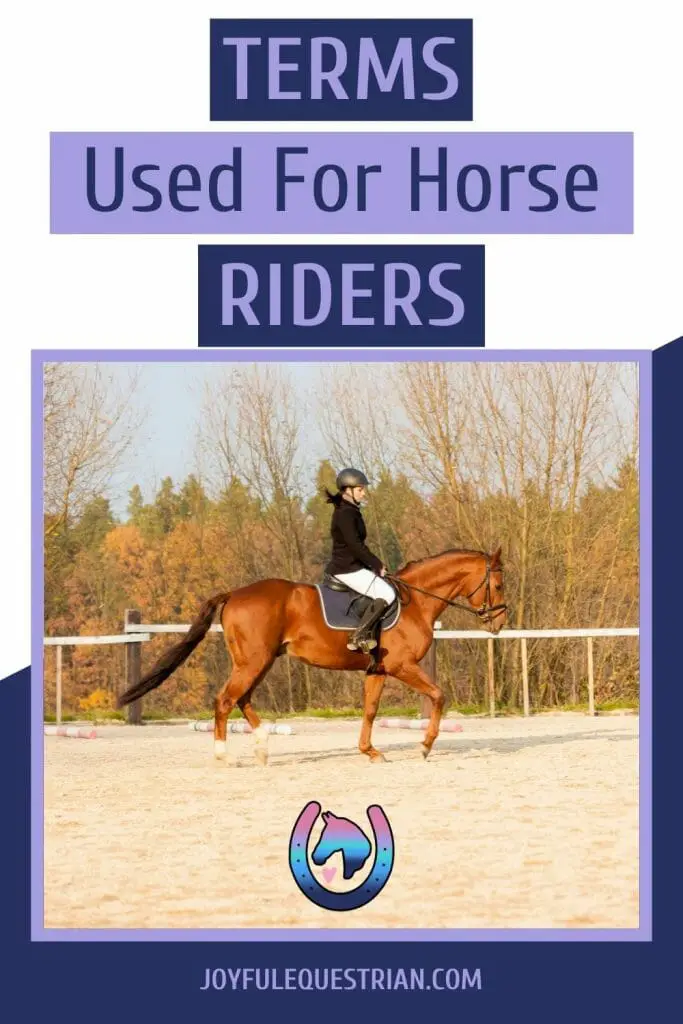 The Proper Term For Horse Rider (& Other Related Terms) – Joyful Equestrian