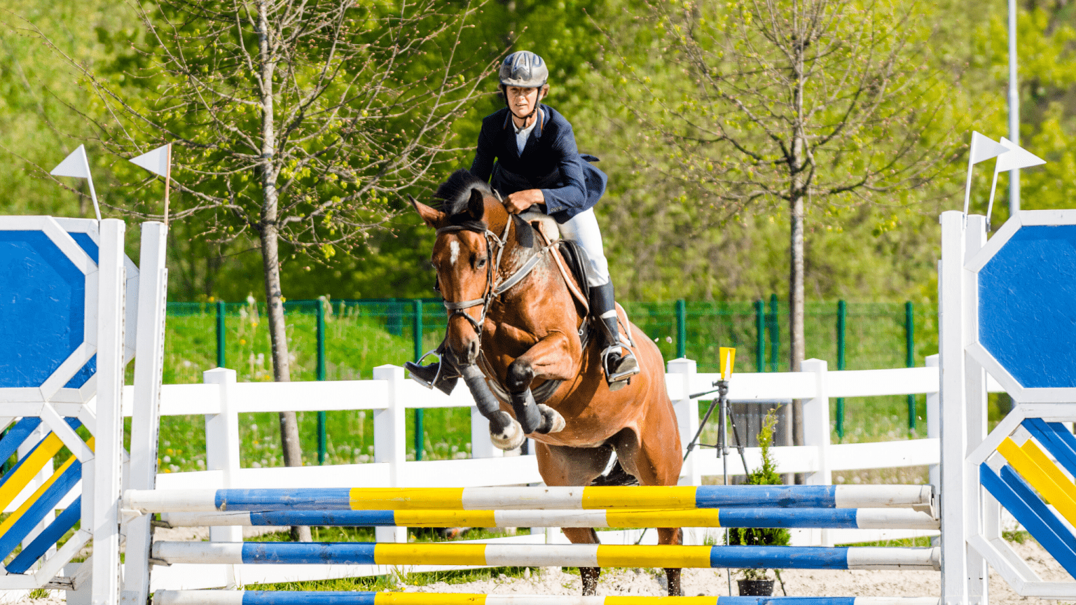 Improve Your Riding At Home | 13 Ways To Get Better At Riding Without A ...