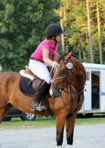 Bay Horses 101 (Genetics, Shades of Bay, Breeds & FAQ)