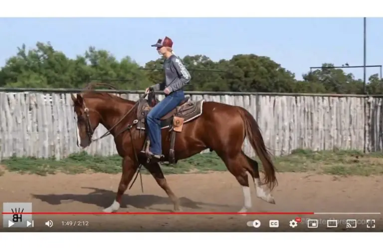 The Sorrel Horse Color: Is It The Same As Chestnut?