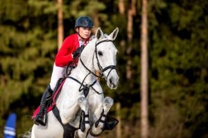 58 Horse Disciplines: Discover a World of Equestrian Sports!