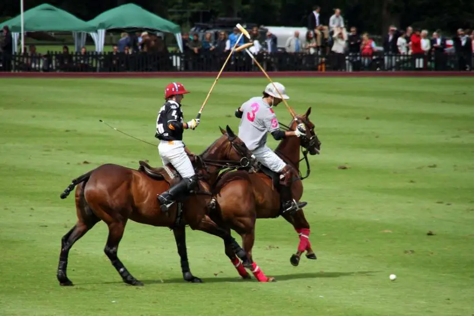 58 Horse Disciplines: Discover a World of Equestrian Sports!