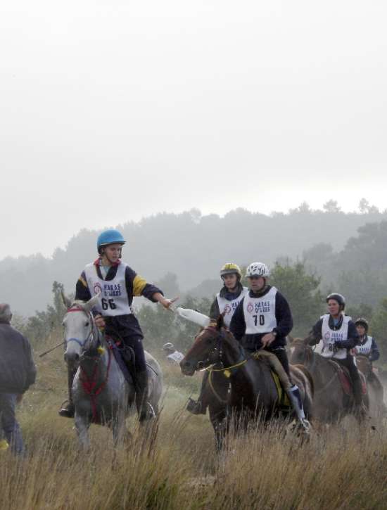 58 Horse Disciplines: Discover a World of Equestrian Sports!