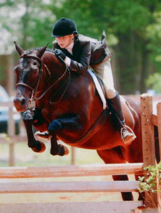 58 Horse Disciplines: Discover a World of Equestrian Sports!