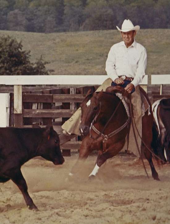 58 Horse Disciplines: Discover a World of Equestrian Sports!