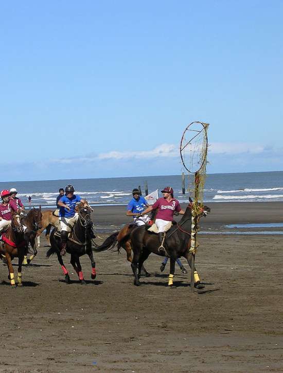 58 Horse Disciplines: Discover a World of Equestrian Sports!