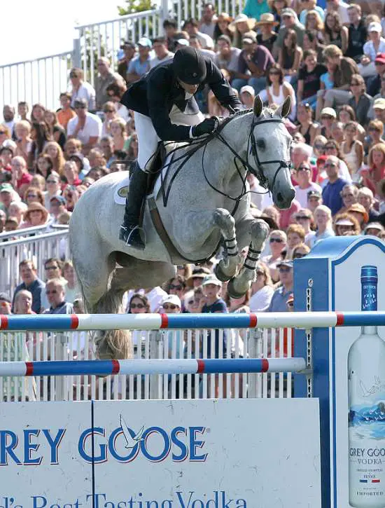 58 Horse Disciplines: Discover a World of Equestrian Sports!