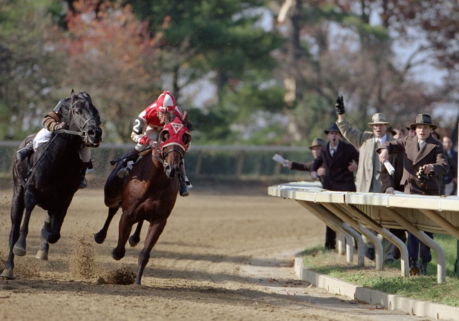 21 Famous Horses in Movies and TV
