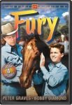 21 Famous Horses in Movies and TV
