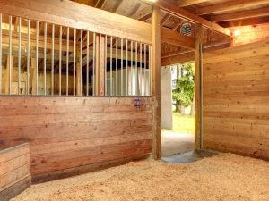 Guide to Choosing the Right Horse Boarding Stable
