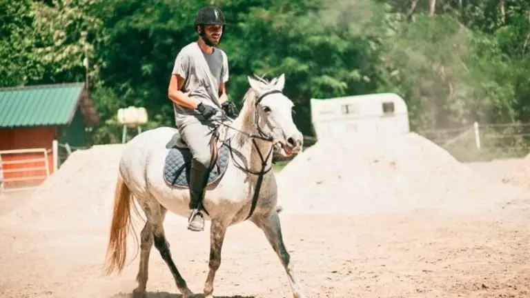How To Start Horseback Riding For Beginners