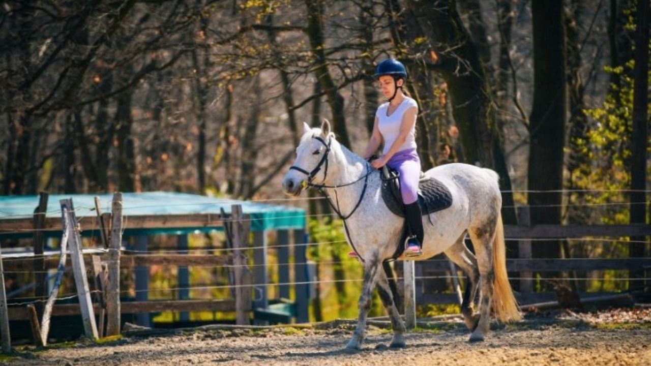 How To Start Horseback Riding For Beginners