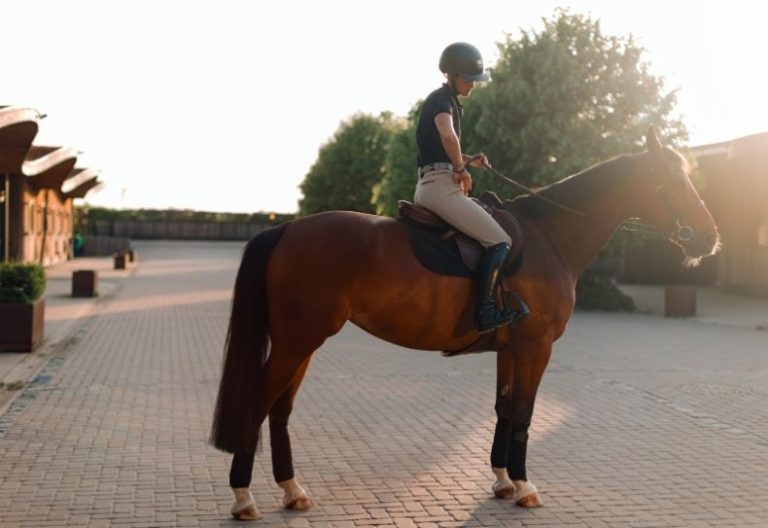 Horseback Riding Fitness: Essential Exercises & Tips for Equestrians